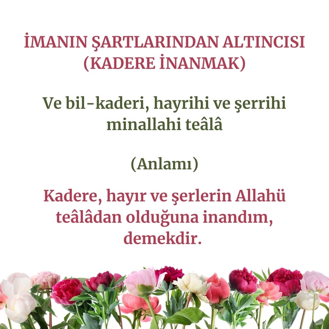 ve bil kaderi - hayrihi ve şerrihi (6) - Dinimiz İslam E-Kart